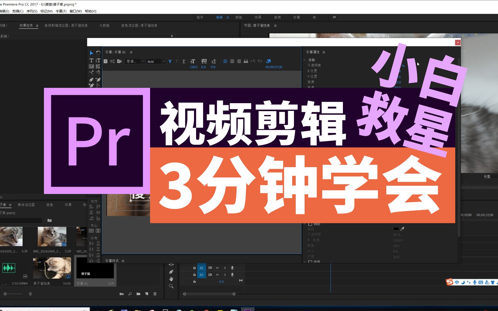 3分钟学会PR视频制作 小白一学就会