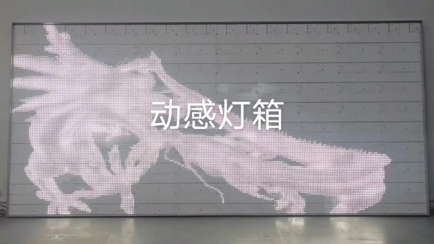 #互动多媒体 #动感灯箱制作 #动感灯箱 #专利产品厂家直销