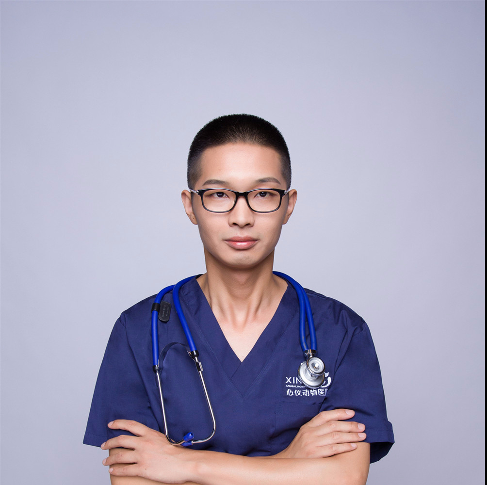 铁头李小涛 