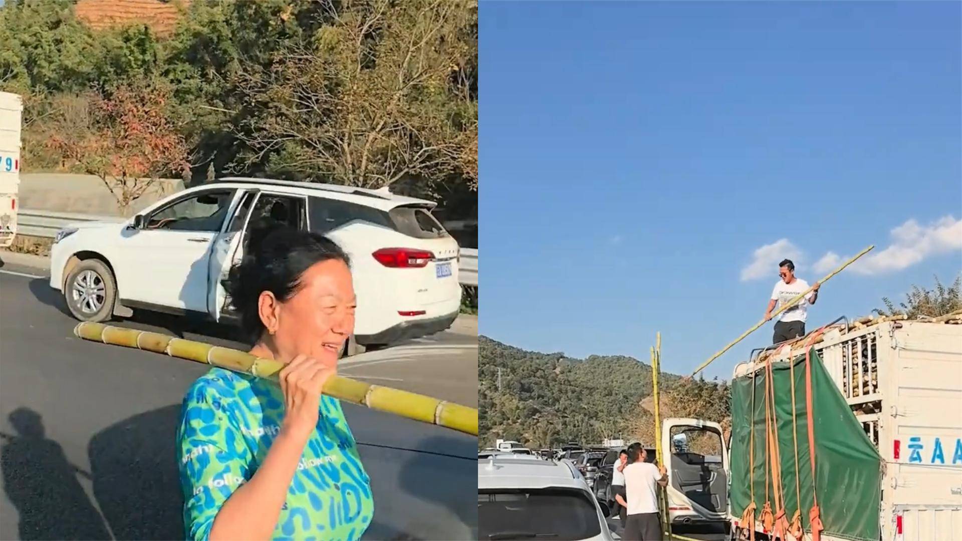 高速大堵车拉甘蔗的货车现场卖货!一大姐扛着甘蔗悠哉走在高速上,路边还有人喊:要5根