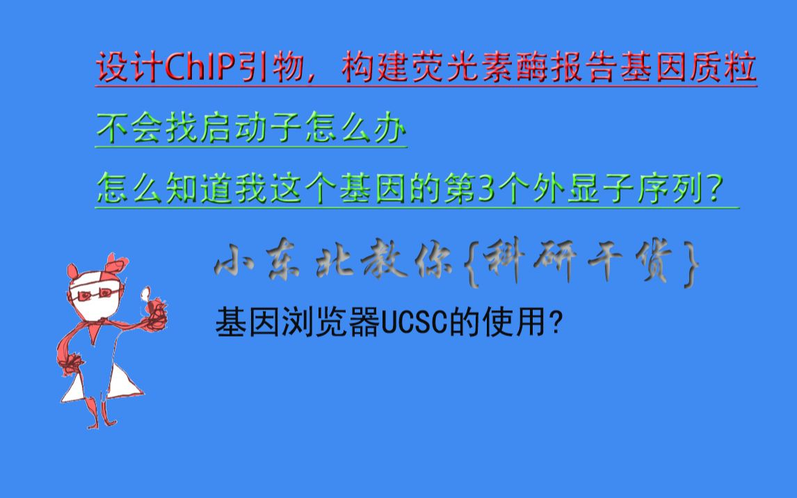 【科研干货】-如何利用UCSC找到基因启动子,外显子