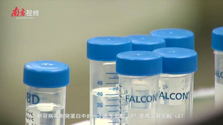 美媒刊文称,一些研究表明,新冠病毒的变异毒株更具传染性