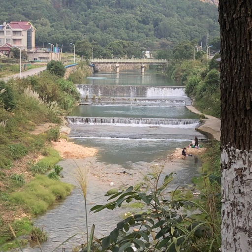 邵爷的生活 