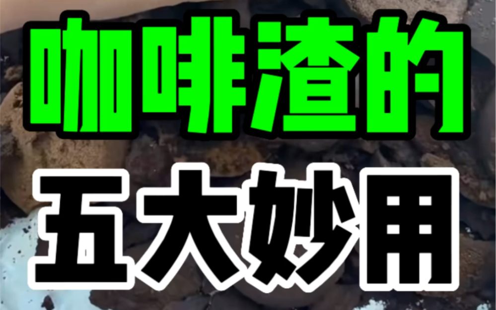 咖啡渣再也不要扔了,五大妙用一定收藏好!