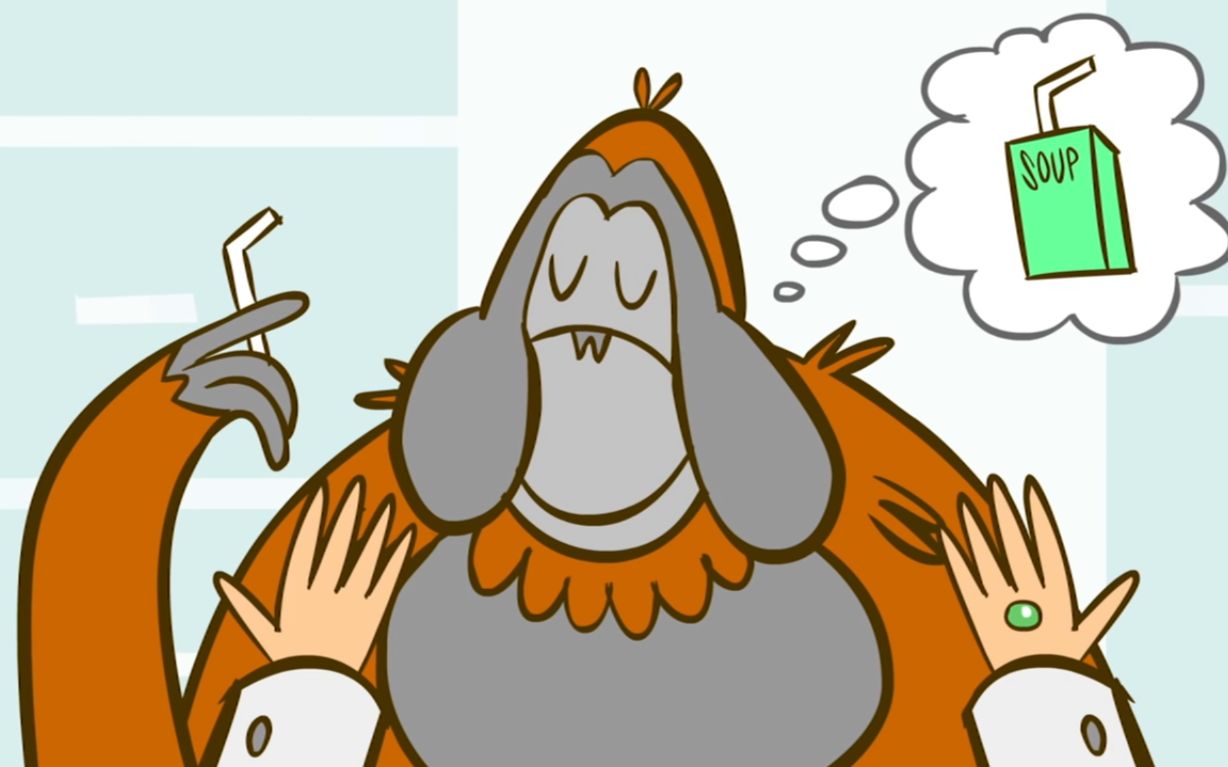 【TED-ed】猩猩究竟有多聪明?【6小时字幕组】