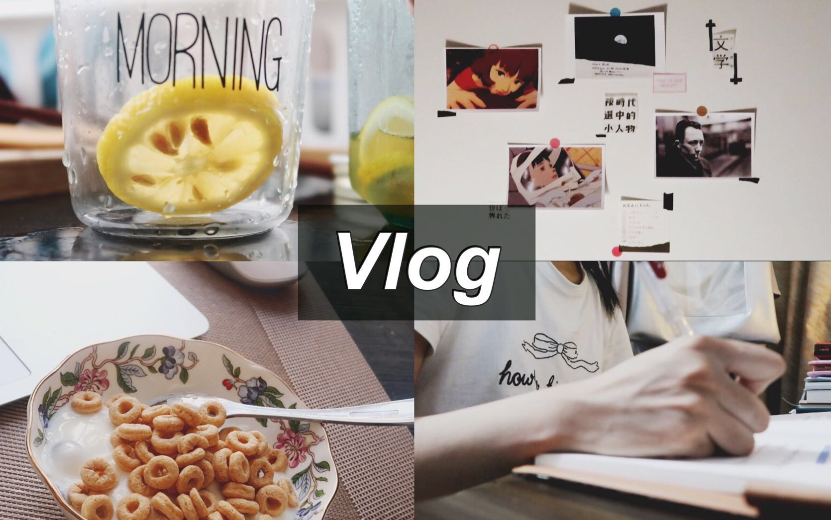 【桑桑】独居日常vlog | 逛独立书店/喝咖啡/柠檬水/做饭/看书/写手帐