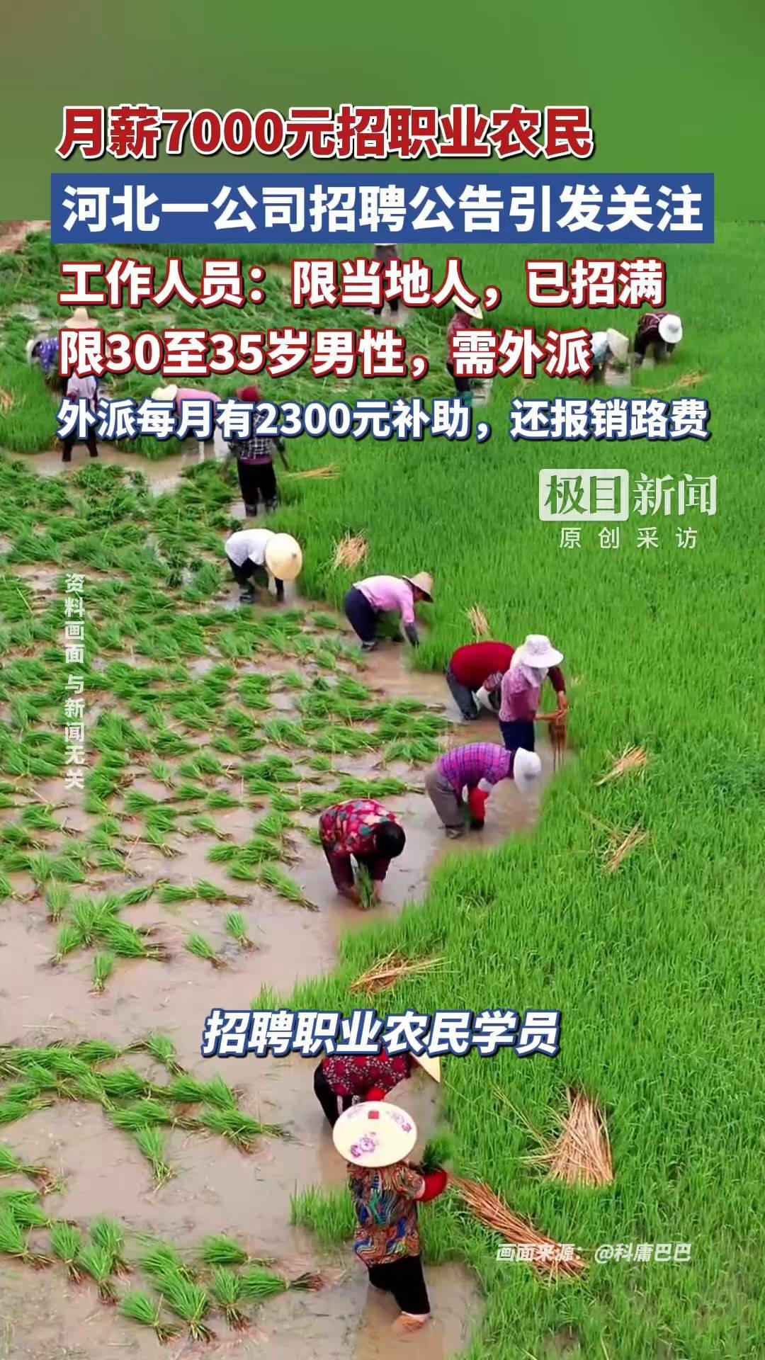 河北一公司月薪7000元招职业农民,负责种植小麦、玉米,限30至35岁...