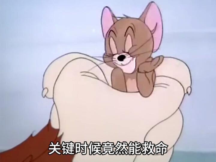 难怪老鼠会成为矿工们的"团宠",妥妥的一个"安全总监'