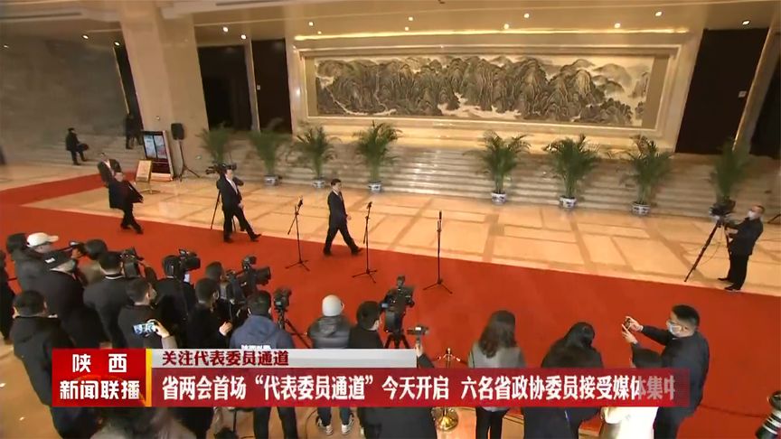 省两会首场“代表委员通道”开启 六名省政协委员接受媒体采访