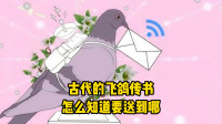 飞鸽传书怎么知道要送到哪?我来给你揭秘,飞鸽传书的真正奥义
