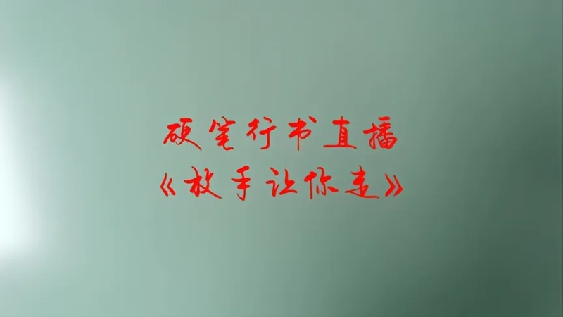硬笔行书直播:《放手让你走》