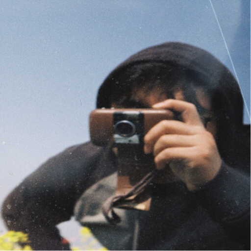 有只板板 
