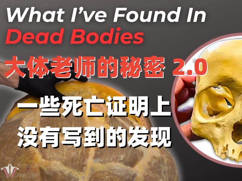 【解剖学科普】从一位大体老师身上看到的成长、衰老和病变