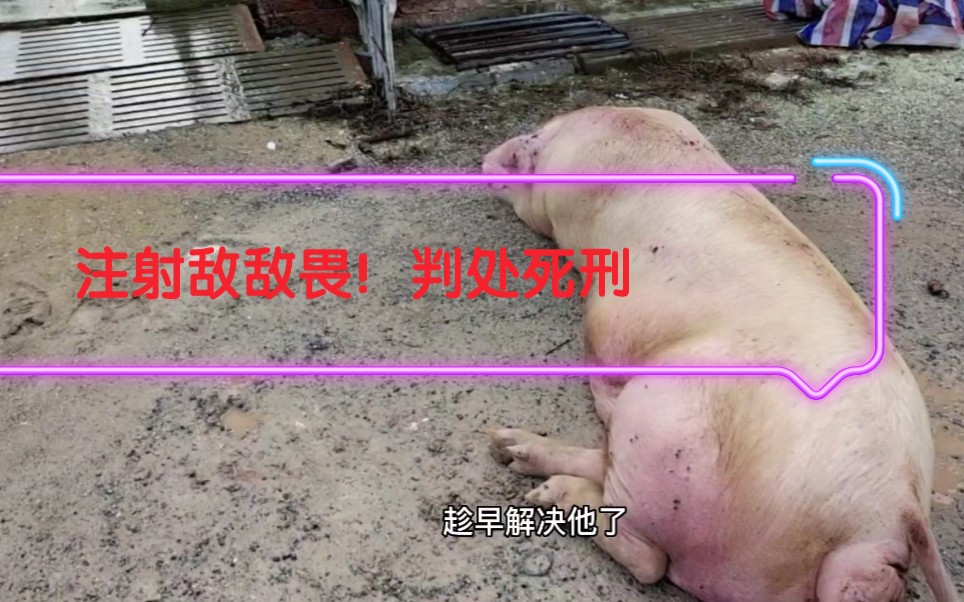 疑似怀有传染病毒,判处死刑,注射敌敌畏不到十分钟大小便失禁!