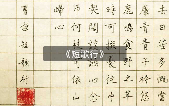《短歌行》书法硬笔诗歌曹操文学作品语文要考