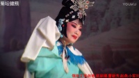 ...张艳.姚丽娜.曹新芳.赵燕.刘小军河南省武陟郑小青豫剧团演出2017.2....