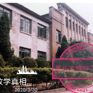 堂哥数学真相 