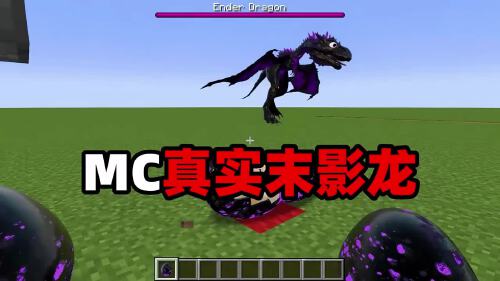 我的解压世界MC真实末影龙如何快速孵化出真实的龙蛋?