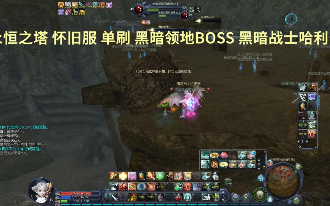 永恒之塔 怀旧服 单刷 黑暗领地的BOSS
