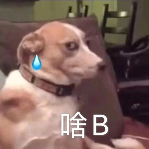 不能吃锅贴 