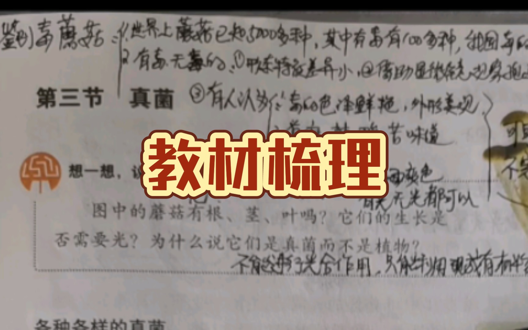 教材梳理//第四章第三节 真菌(人教版初中生物八年级上册)