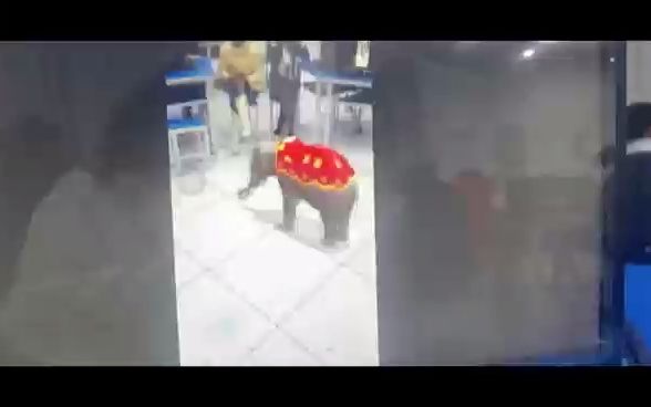 大教研—信息化教学手段研究视频