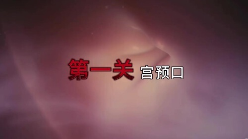 生命诞生的神奇过程从小蝌蚪到完整的人类