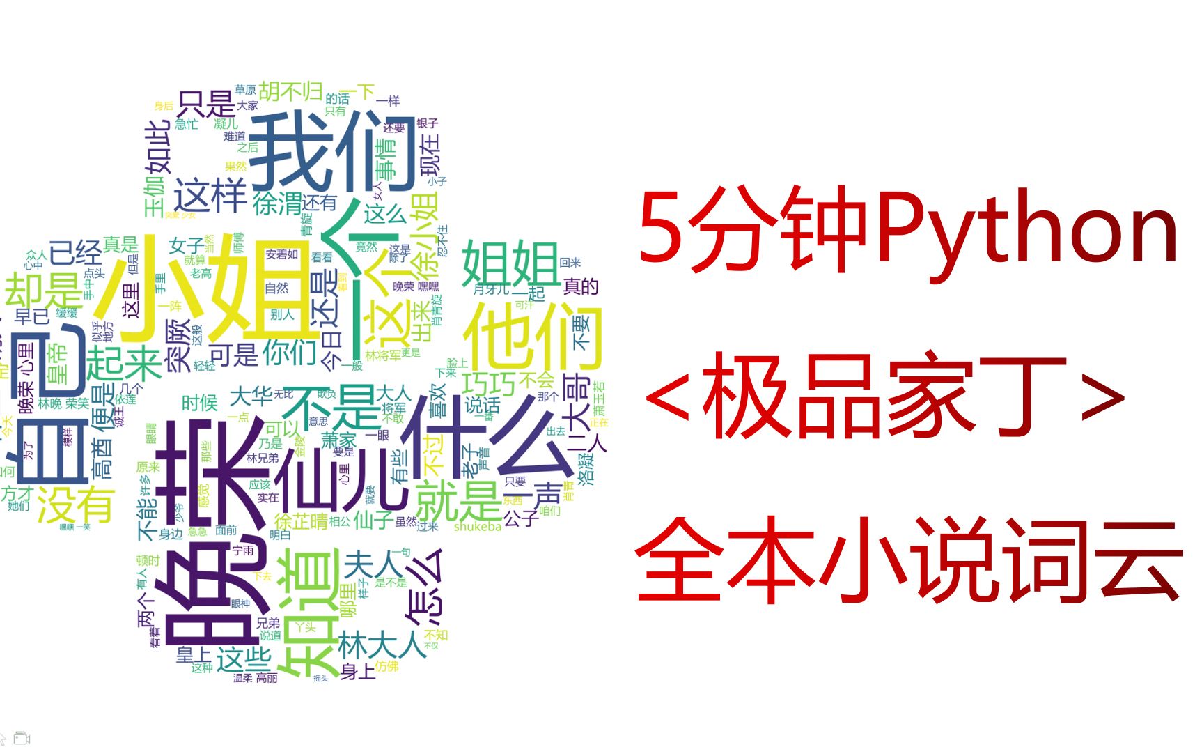 5分钟使用Python生成极品家丁全本小说词云图
