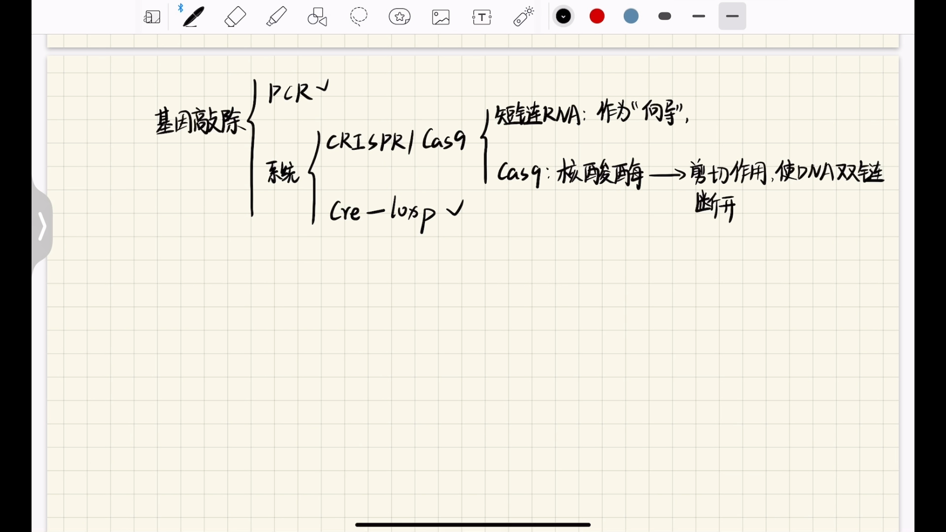 基因工程常考题型知识点讲解下(巢式PCR、基因编辑技术)