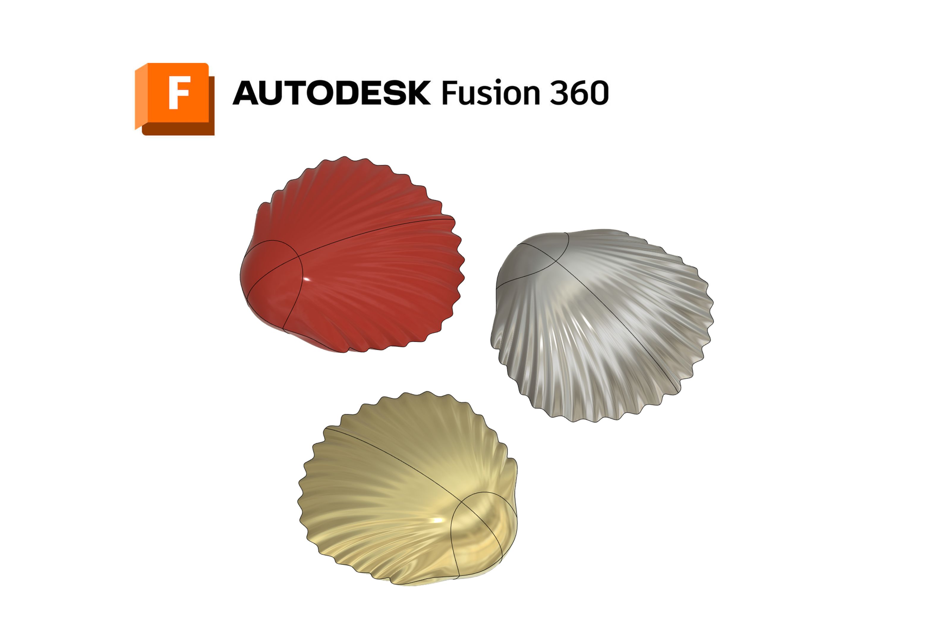 Fusion360---贝壳曲面案例1