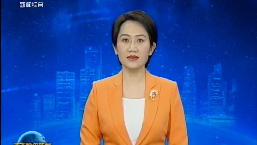 齐市委审计委员会第一次会议召开王刚主持会议并讲话