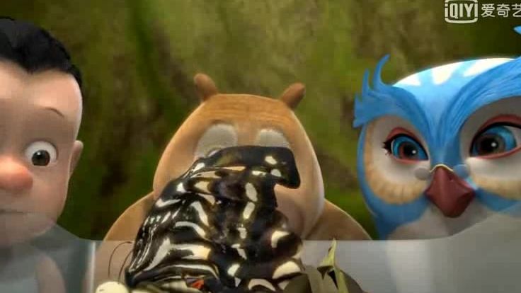 熊熊乐园,破茧成蝶原来是这样来的,看蚕蛹的蜕变过程