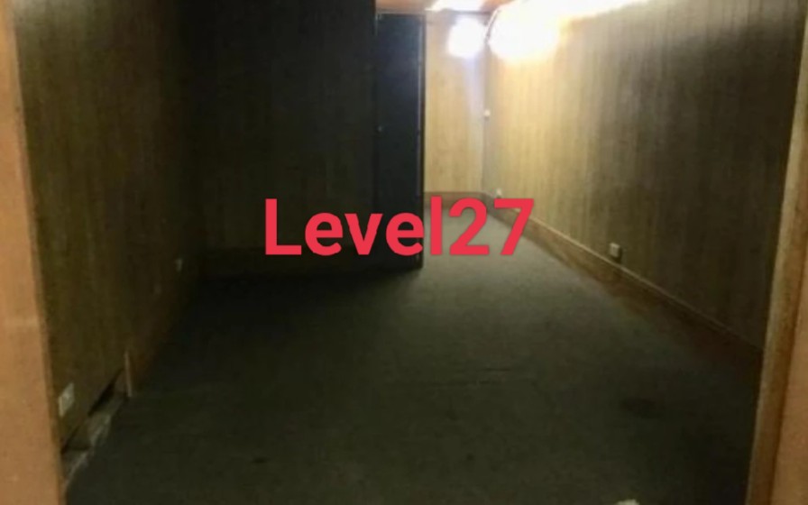 backrooms后室(level27)