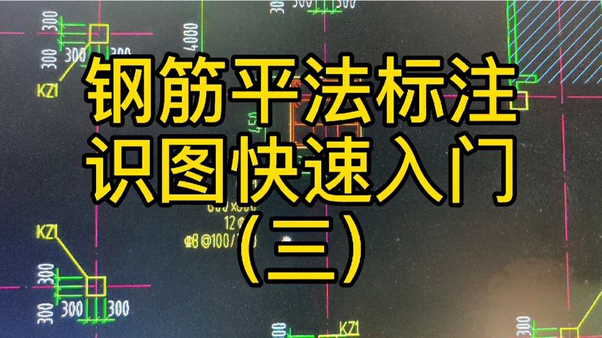 钢筋平法标注识图快速入门之柱的集中标注配筋图(三)