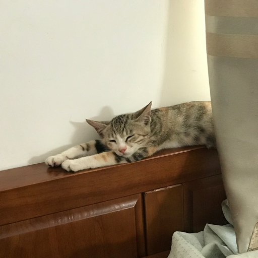 平南华常心 