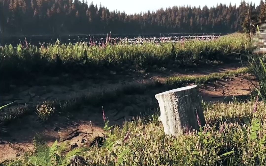 植被神级插件Forest Pack,不拿回去试试?!