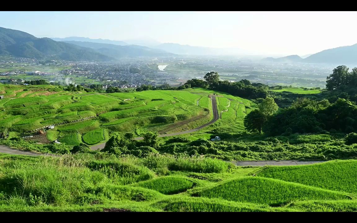 视频素材 ▏k1548 宁静乡村农业水稻稻田麦穗禾苗梯田农村宣传和谐...