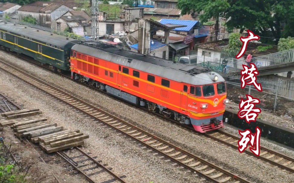 K365次列车通过西华路尾人行天桥