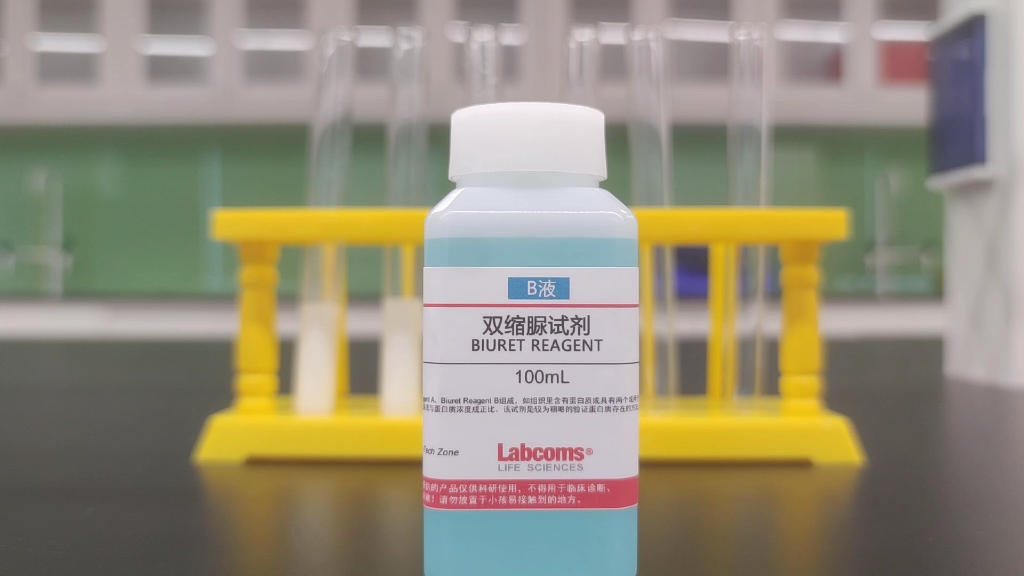 高中实验-双缩脲试剂检测蛋白质