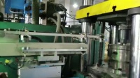 冷挤压——短棒自动送料机(认方向)