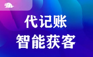雅安代帐会计软件,代帐会计软件哪家公司比较好?
