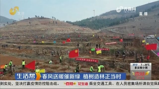 枣庄开展“绿化荒山,植树造林”活动,积极为乡村穿新衣、戴新帽