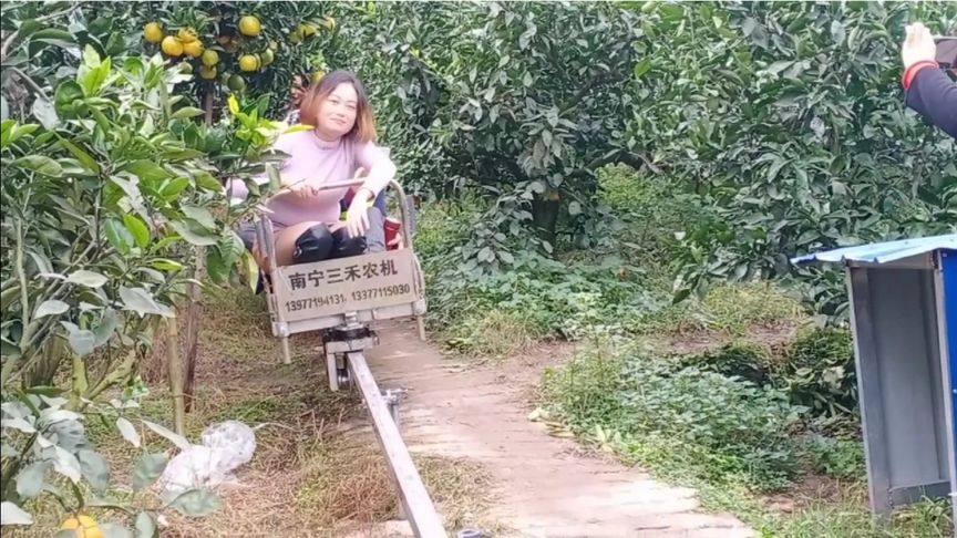 现代农业必配现代设备,果园单轨列车,听听他的诸多用途吧。