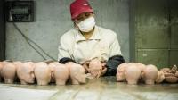 人体模型工厂有多可怕? 员工称: 刚来的时候太怕, 做梦都是白骨
