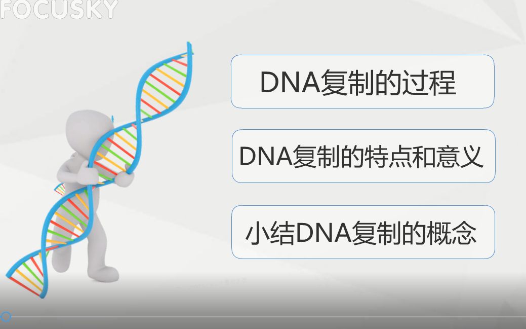 微课:DNA的复制过程