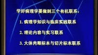 中国医科大学病理学01 绪论、细胞和组织的适应与损伤(1)