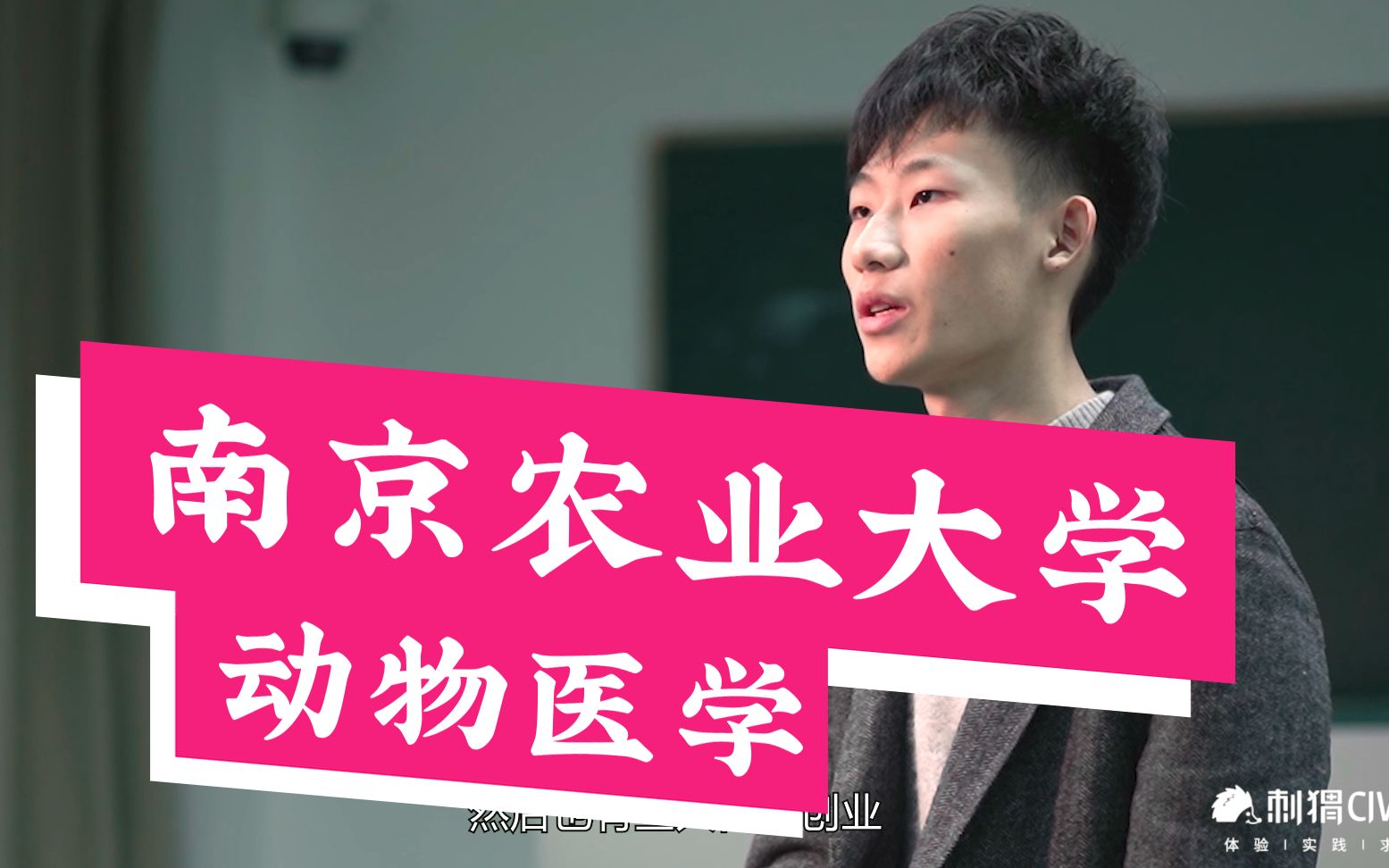 【哈喽名校】南京农业大学动物医学!刺猬大学高考应援!