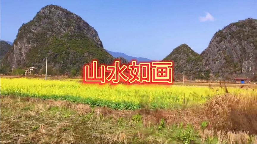 生活中并不缺少美,只是缺少发现美的眼睛