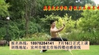 武术套路表演视频