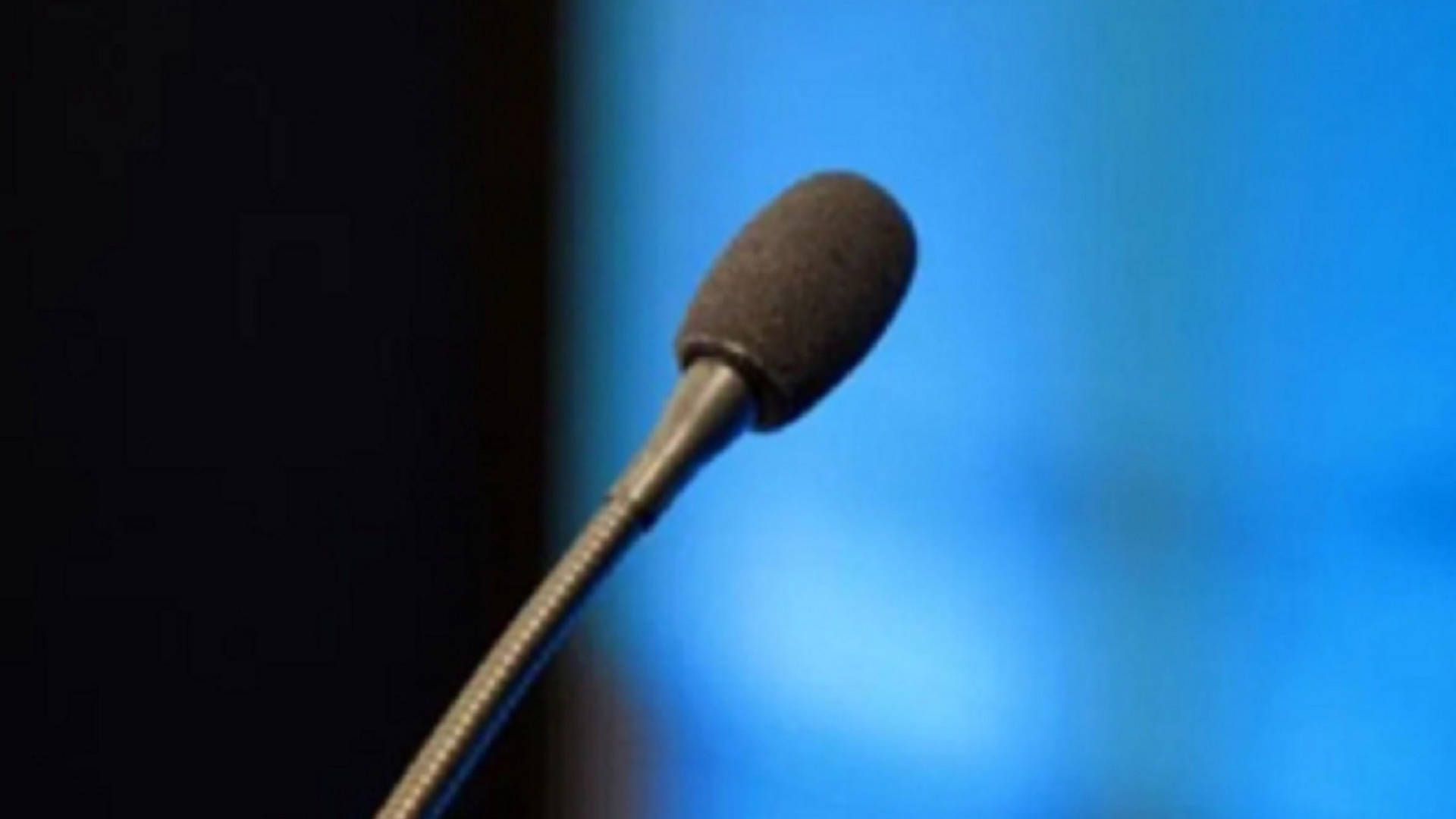 "看到曾经的领导痛哭流涕",观看警示片后,7天内14人主动投案